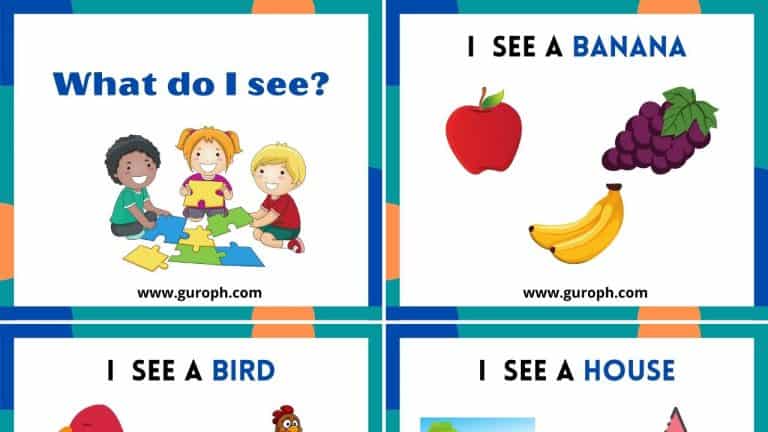 “What do I see?” Object Identification